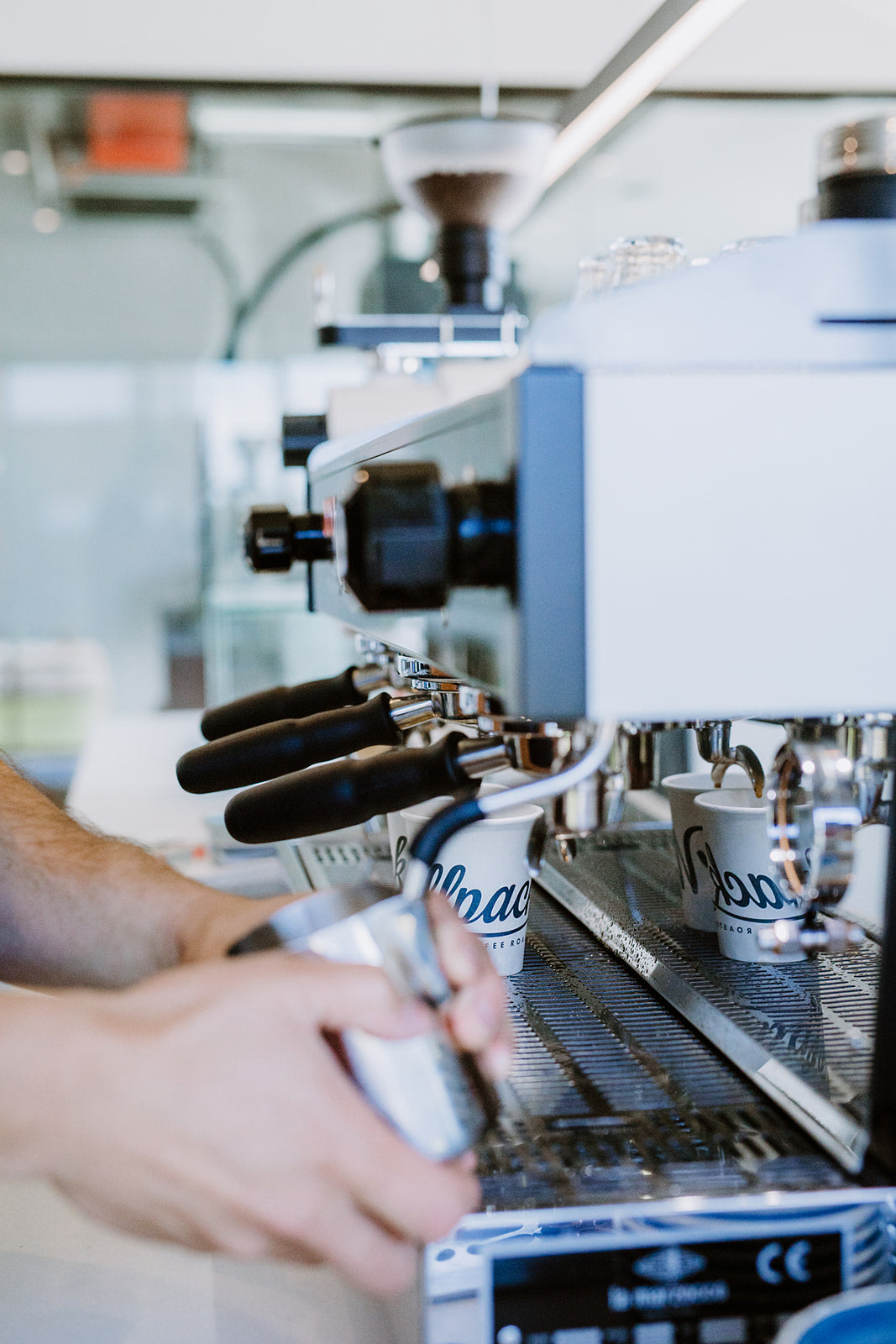 Wolfpack Coffee Roasters